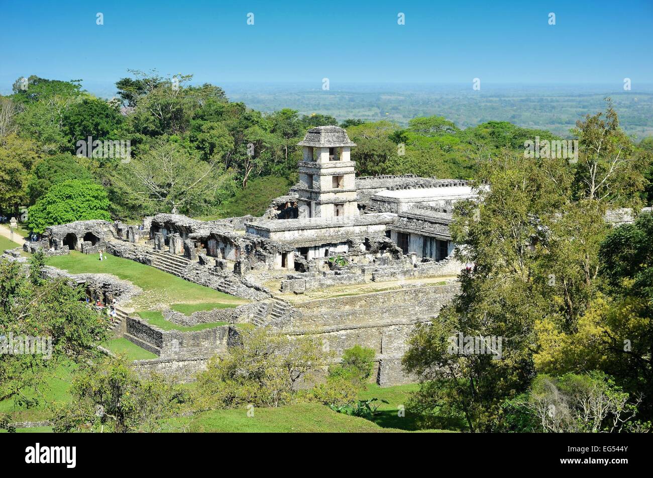 Palenque Ancient Mayan tower the palace temples Stock Photo - Alamy