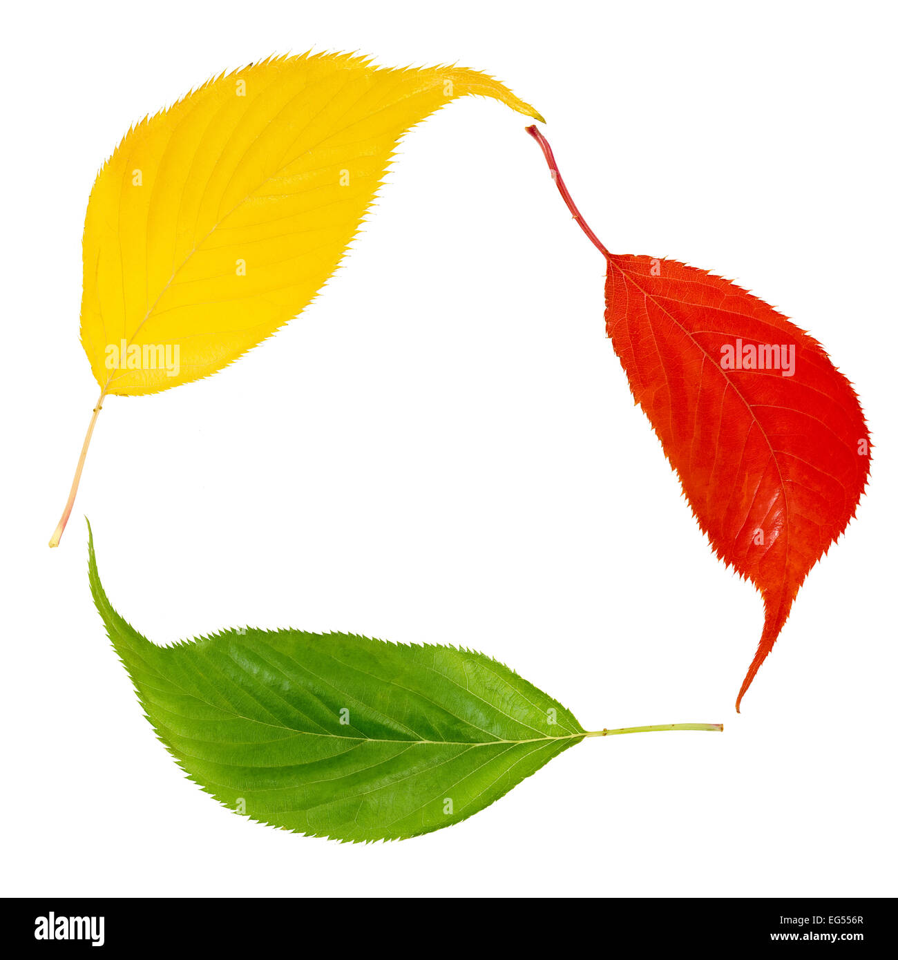 Recycling seasonal cycle hi-res stock photography and images - Alamy