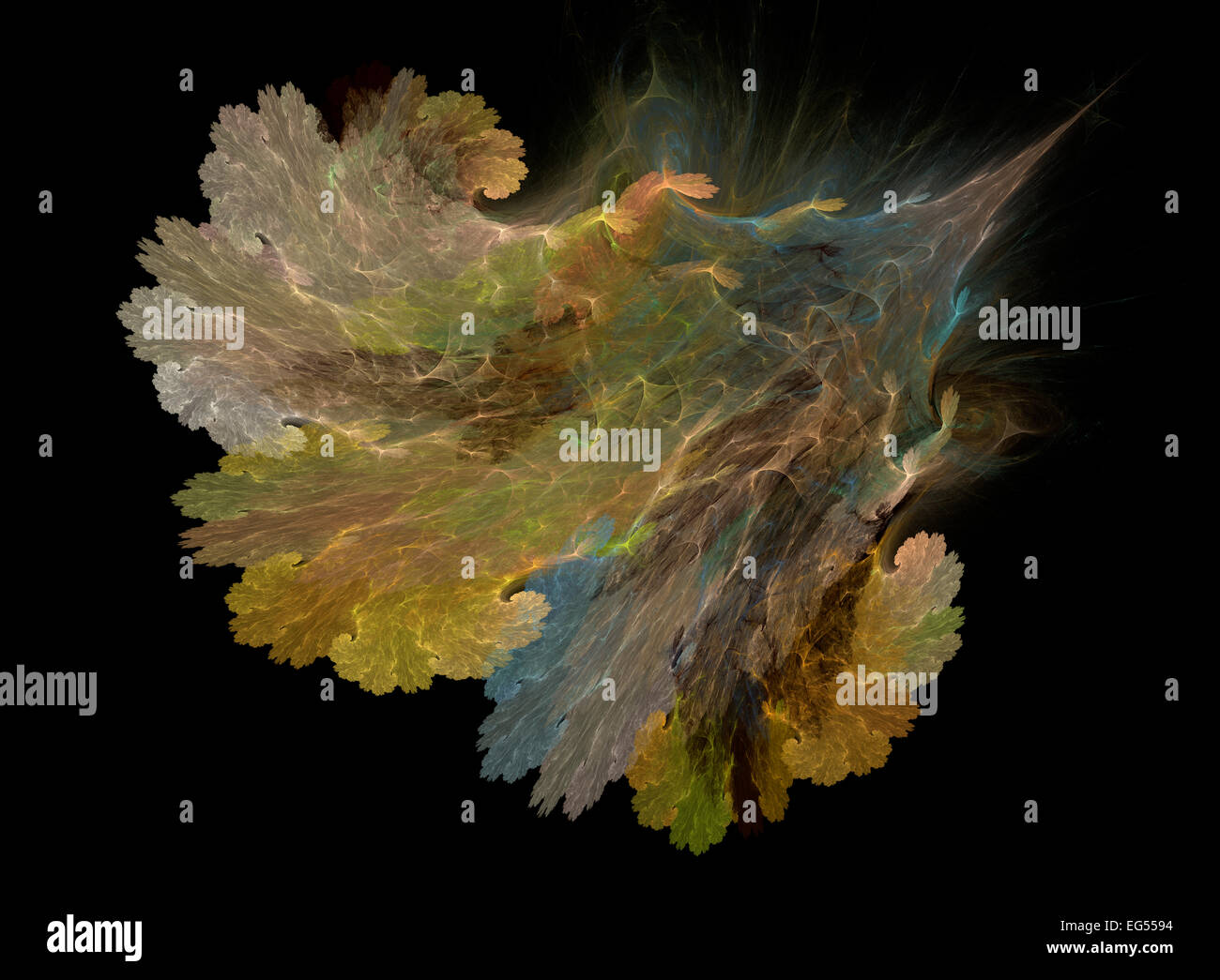 Fractal leaf patterns hi-res stock photography and images - Alamy