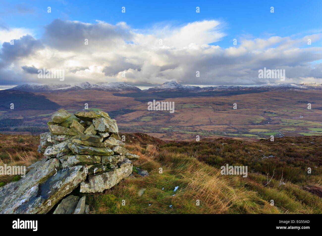 A distant view of the Rhinogs from the Northern edge of Coed Y Brenin ...