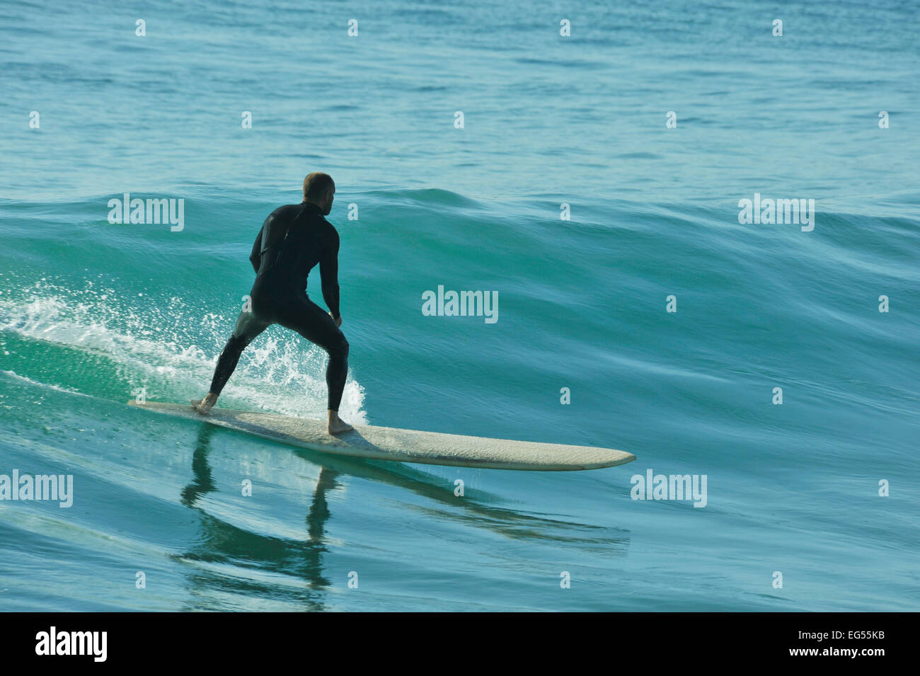 Single adult surfer in black wetsuit on surfboard riding down wave ...