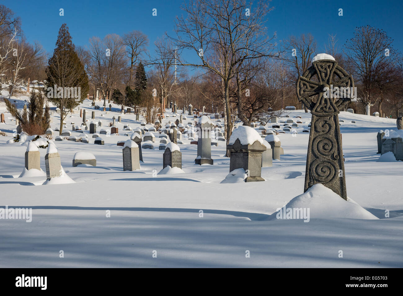 Tombstones covered by snow in an American cemetery Stock Photo - Alamy