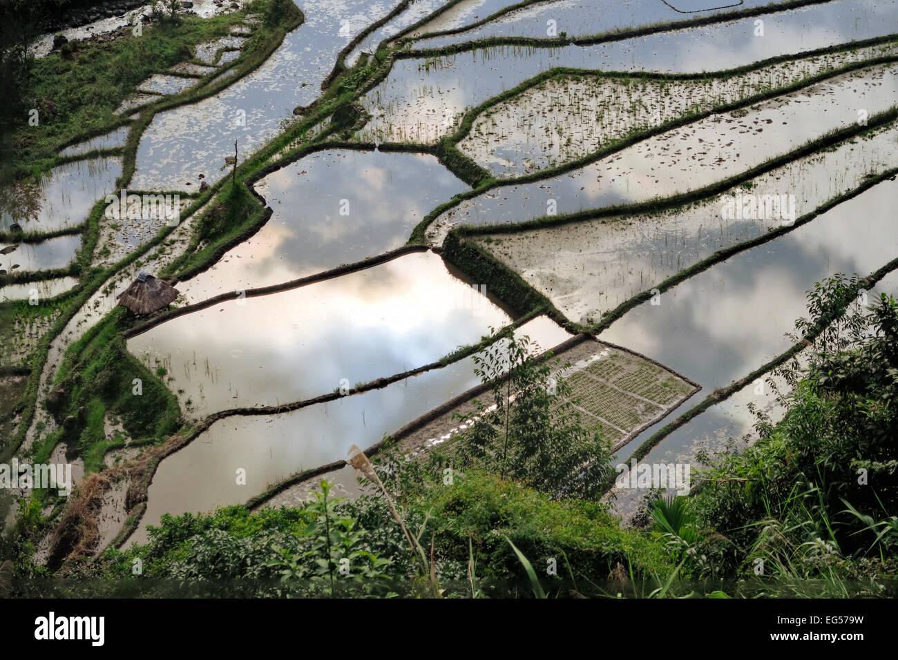 Bangaan rice terraces hi-res stock photography and images - Alamy