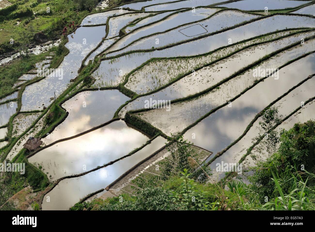 Famous UNESCO world heritage rice terraces in Bangaan near Banaue ...