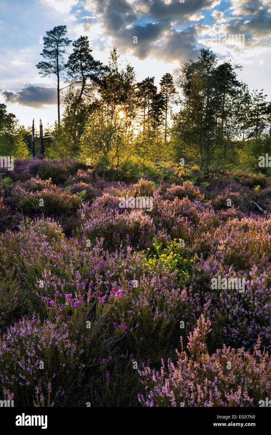 Heather clouds hi-res stock photography and images - Alamy