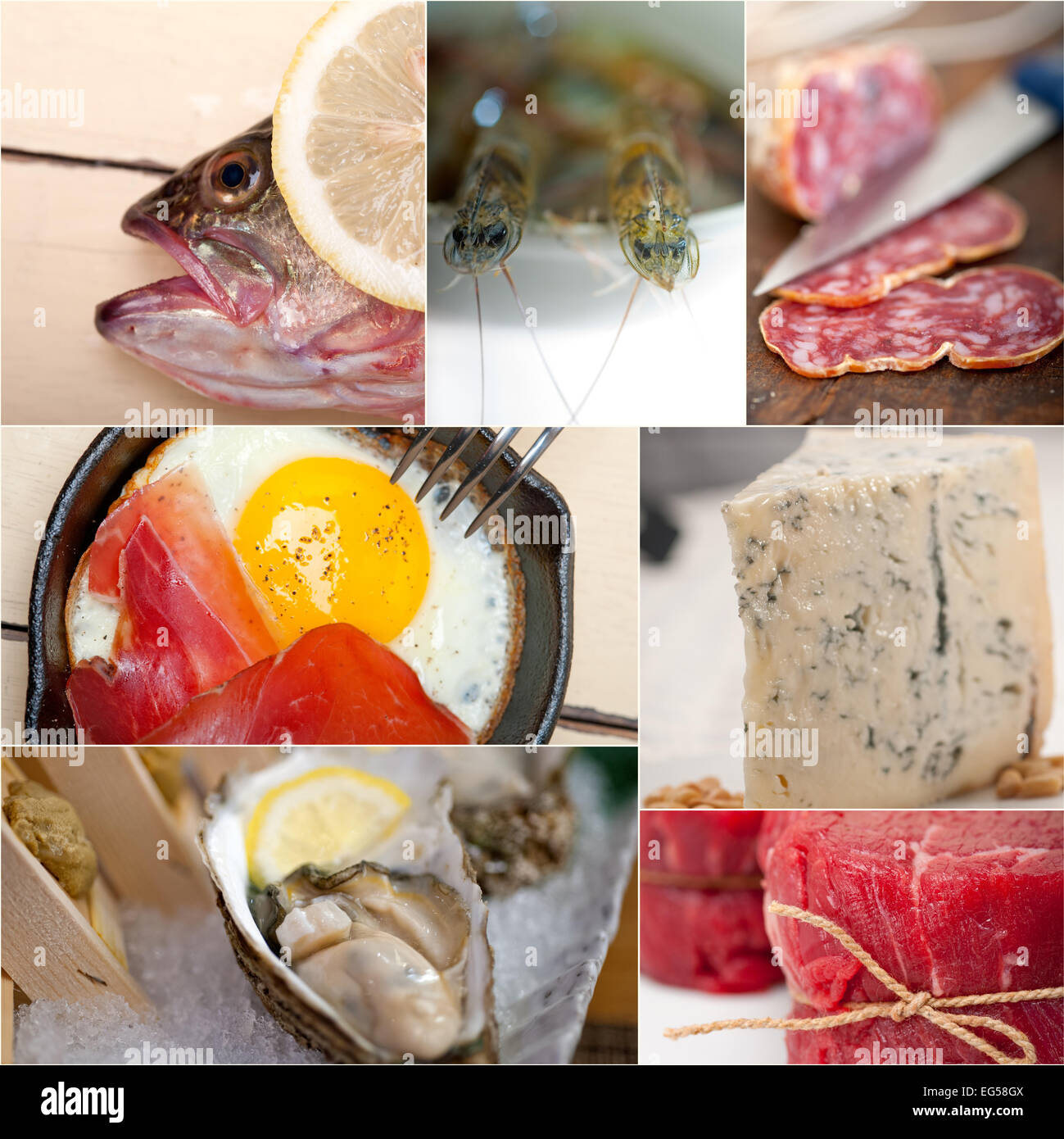 high protein food collection collage nested on white frame Stock Photo ...