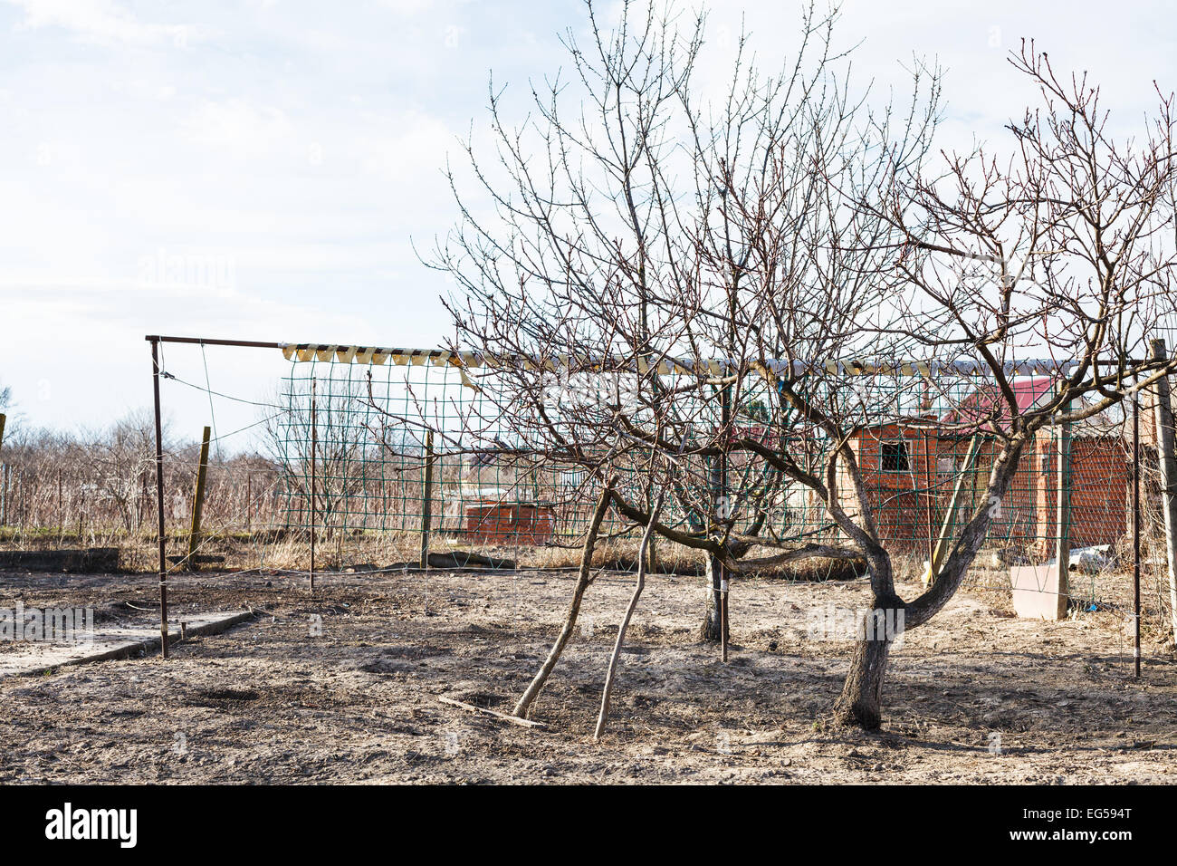 empty village backyard garden in early spring day Stock Photo - Alamy