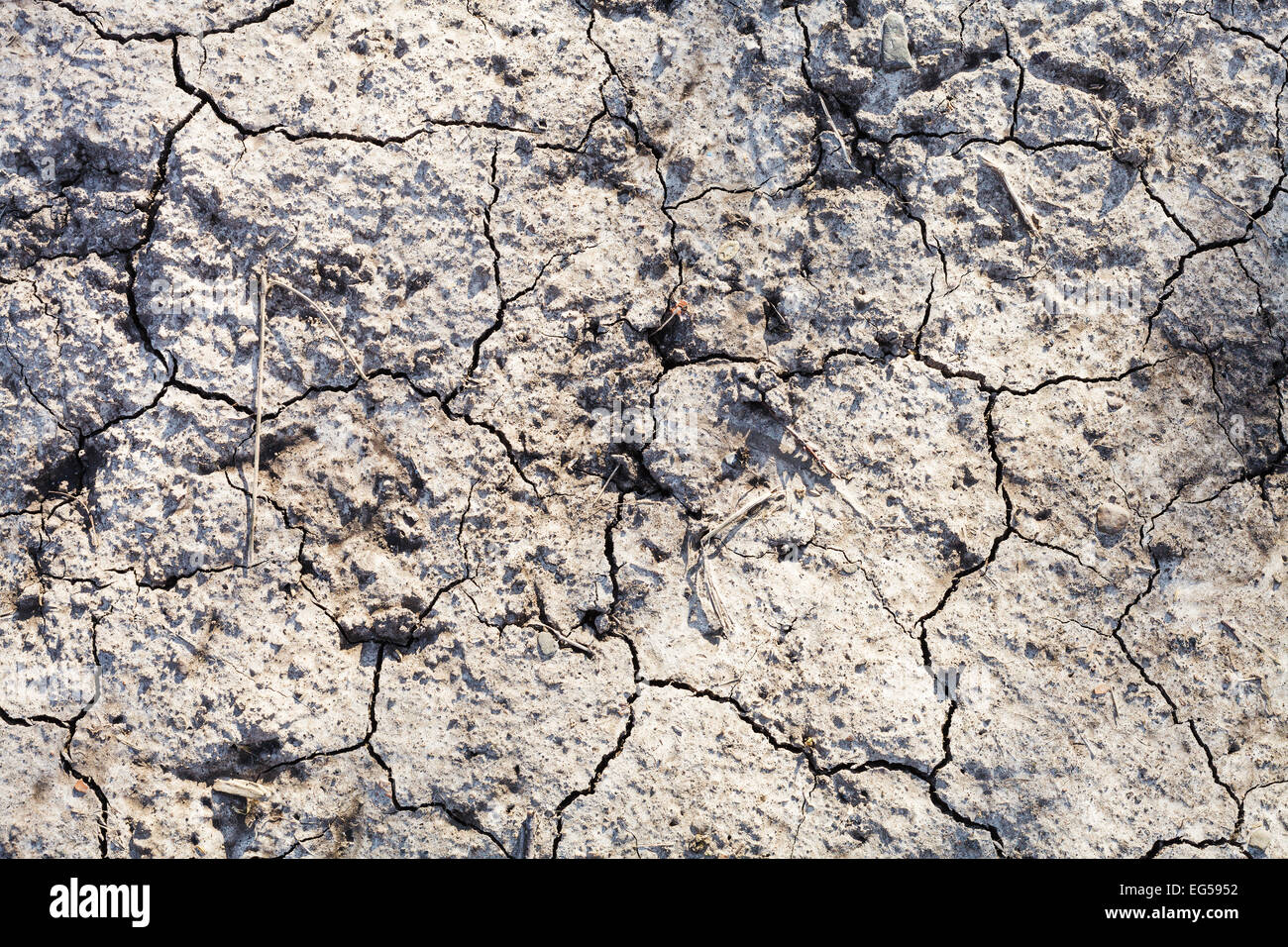 background from dried ground in garden in early spring Stock Photo - Alamy