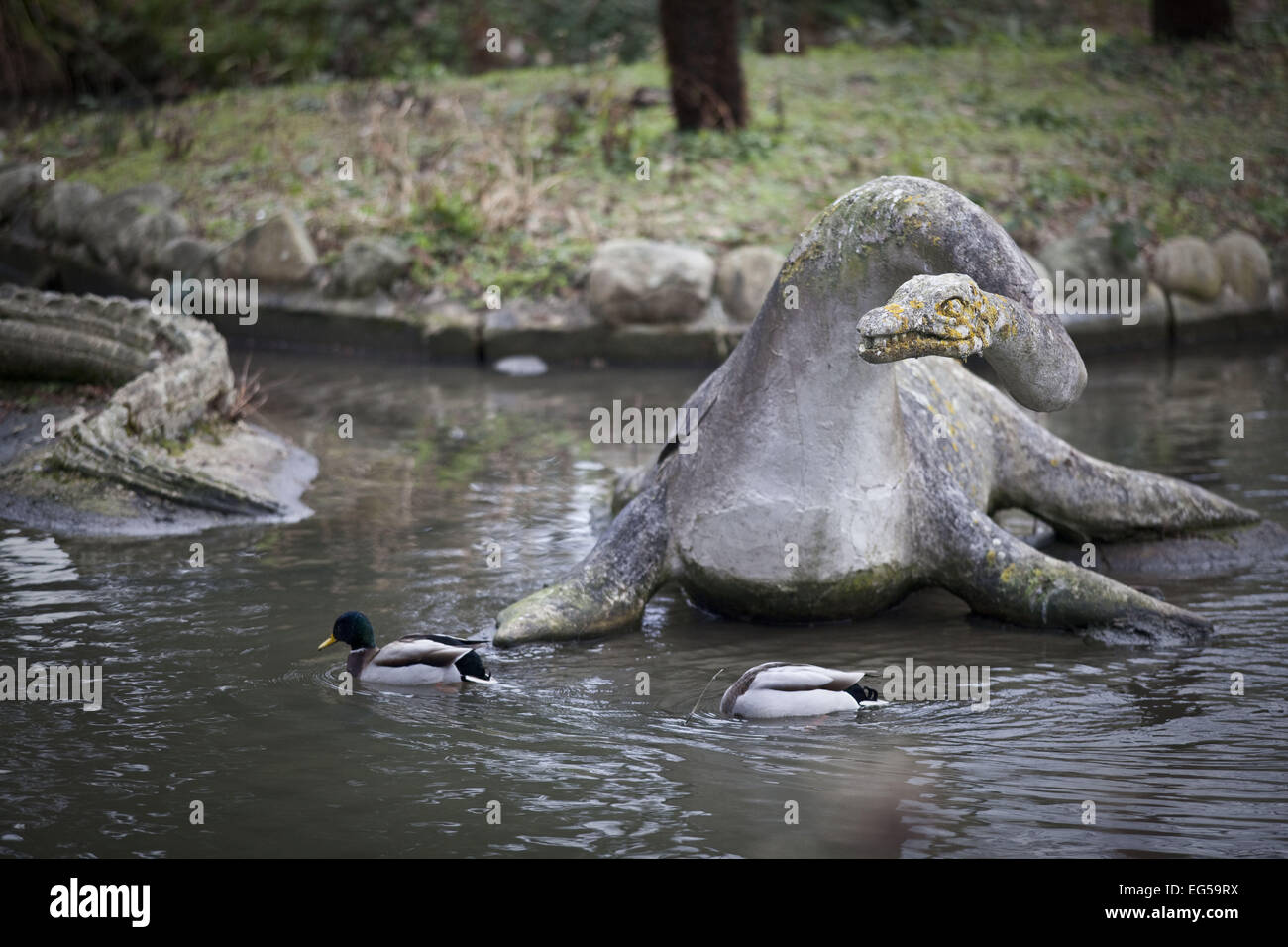 London, UK. 25th Jan, 2015. Victorian dinosaurs - Plesiosaurus.Unveiled ...