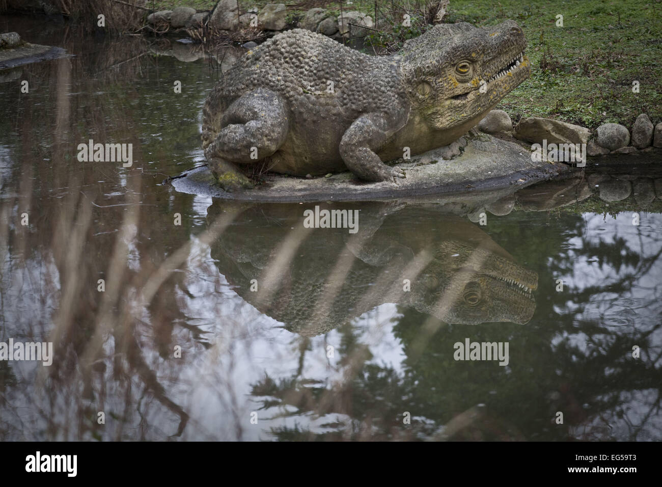 London, UK. 25th Jan, 2015. Victorian dinosaurs - Labyrinthodon ...