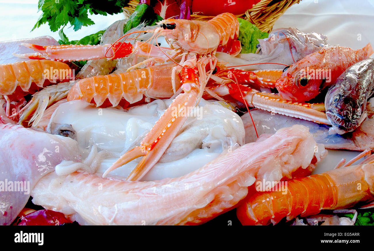 Palombo marche hi-res stock photography and images - Alamy