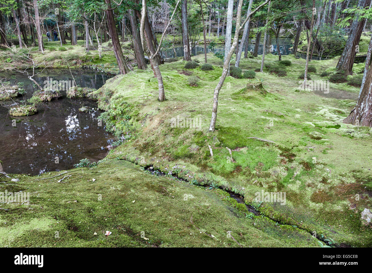 Koke dera temple hi-res stock photography and images - Alamy