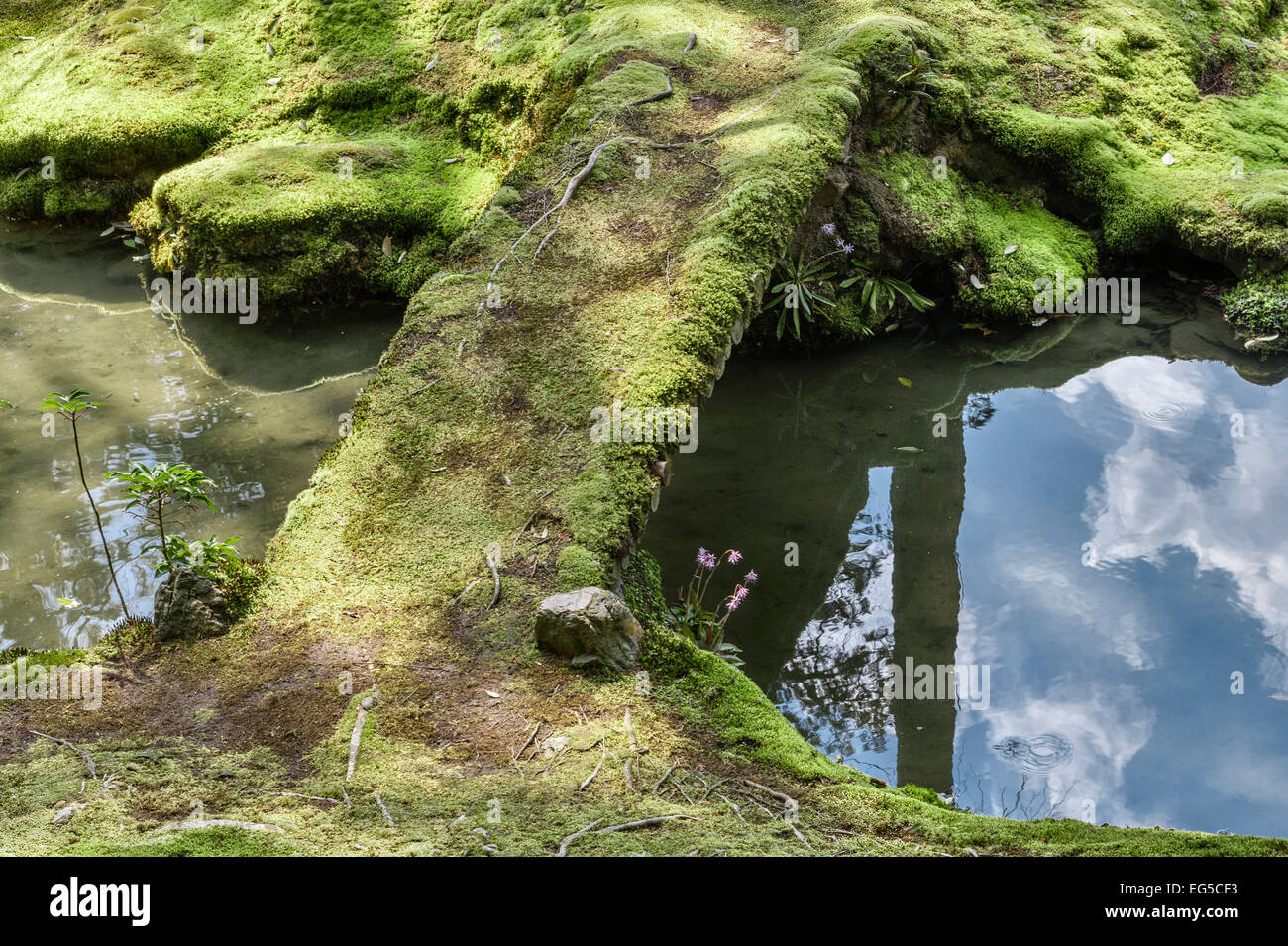 Koke dera temple hi-res stock photography and images - Alamy