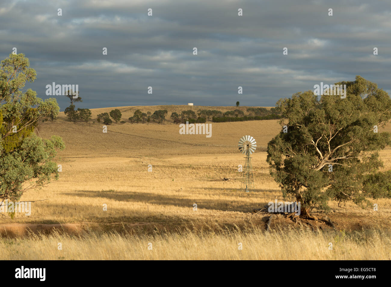 A photograph of a windmill on an Australian farm. The photograph was ...