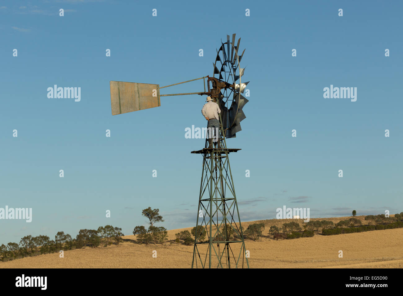 A photograph of a farmer climbing a windmill to repair it. The ...