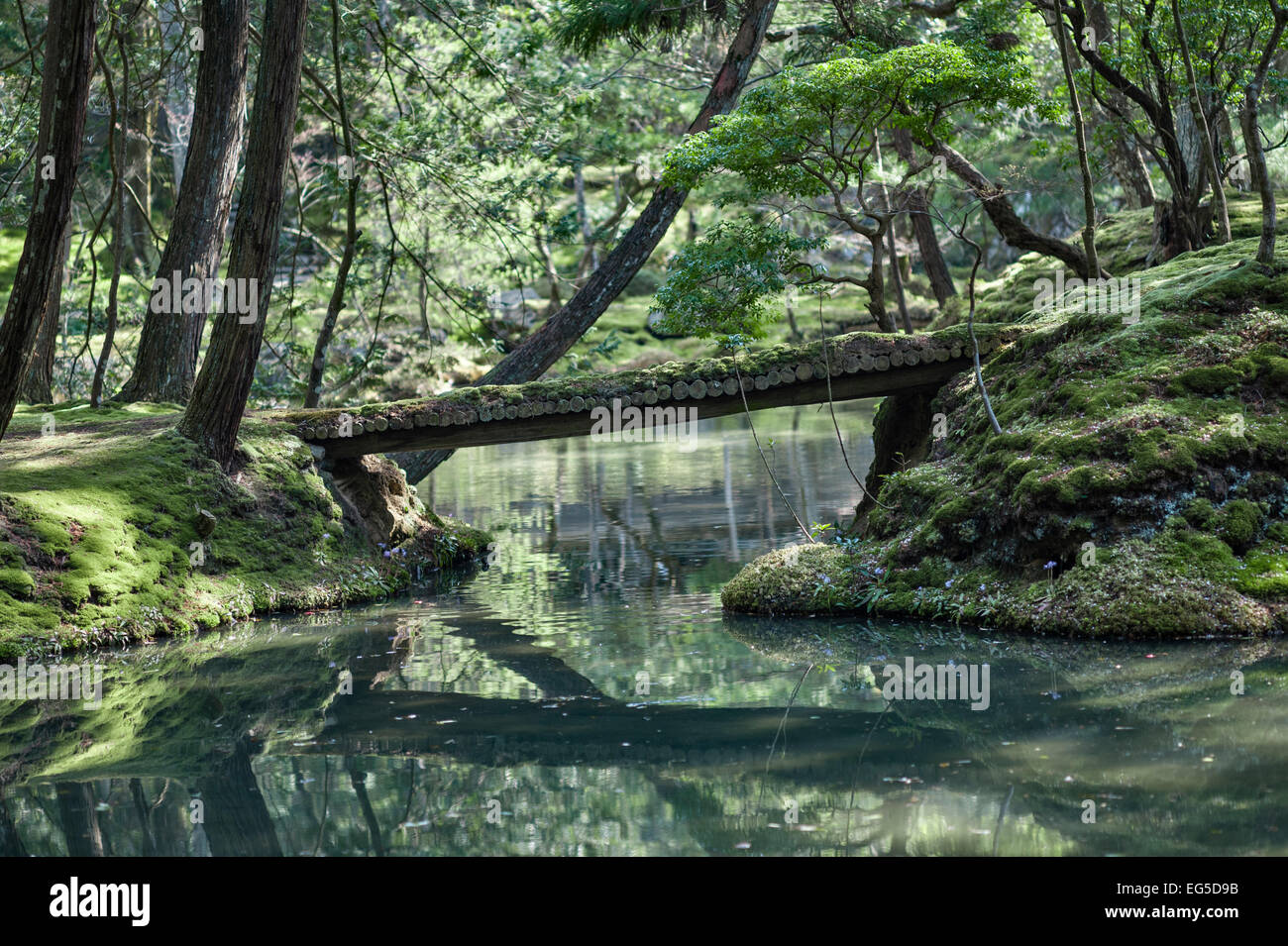 Koke dera temple hi-res stock photography and images - Alamy