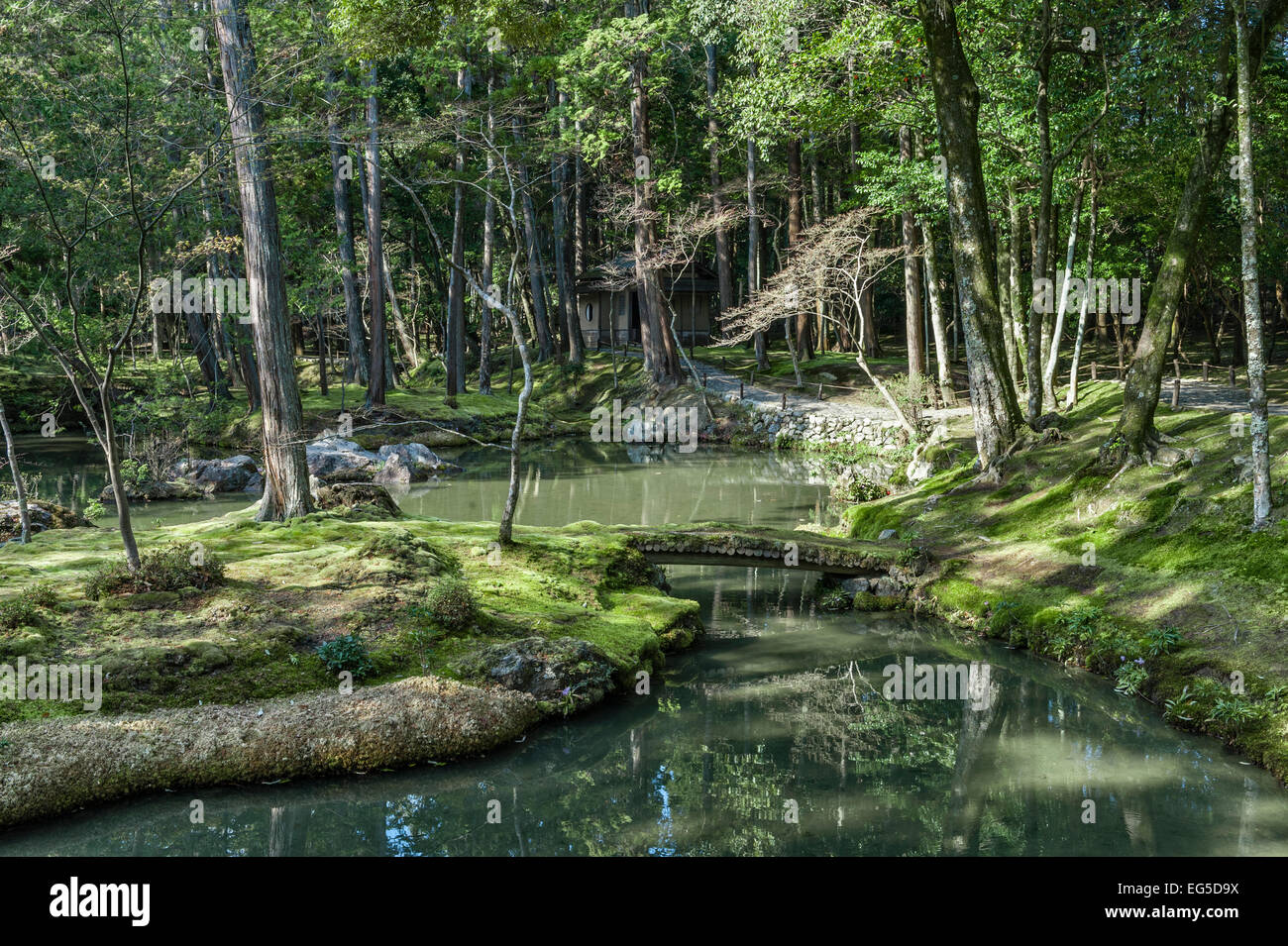A pond at Saiho-ji zen temple garden (Koke-dera, the Moss Temple ...