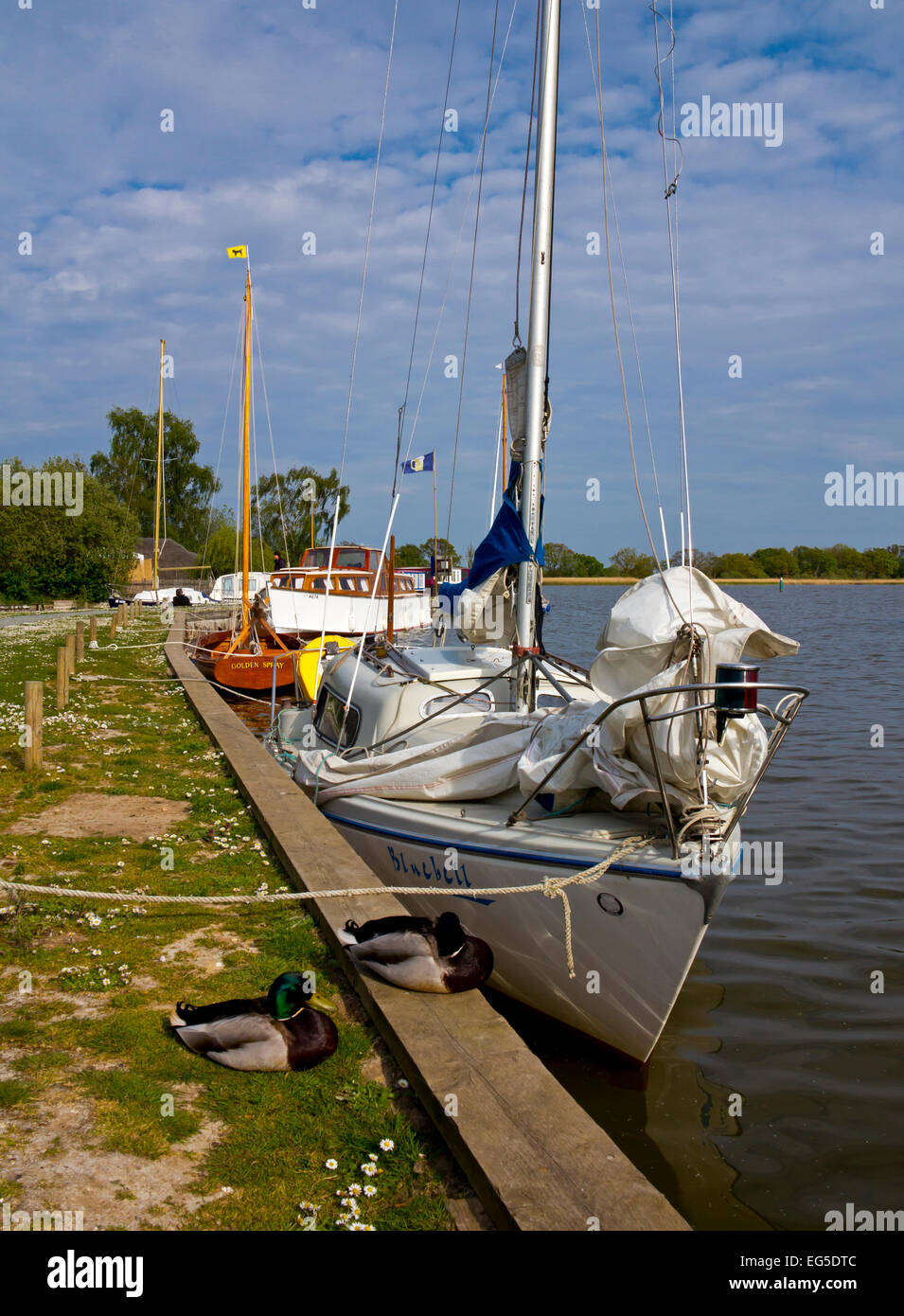 Inland waterways hi-res stock photography and images - Alamy