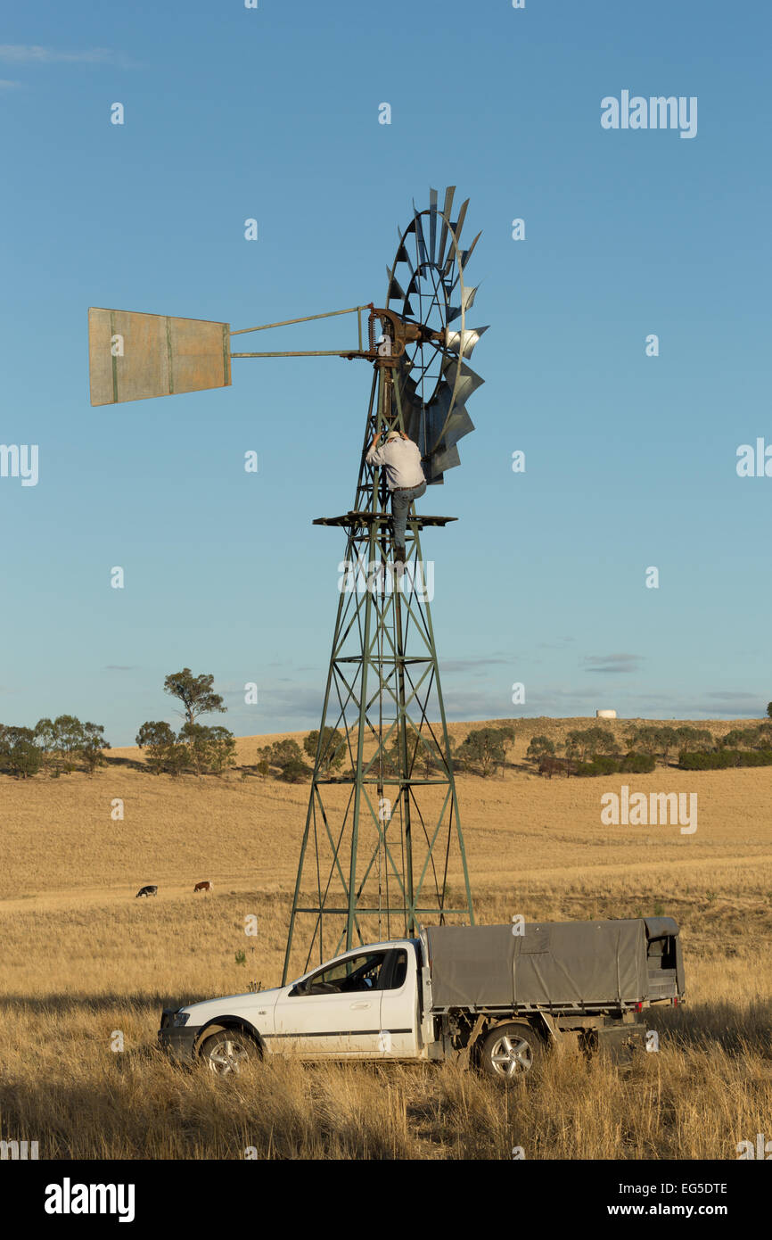 A photograph of a farmer climbing a windmill to repair it. The ...