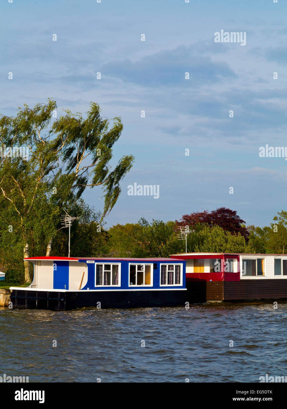 Wooden houseboats moored at Hickling Staithe in the Norfolk Broads an ...