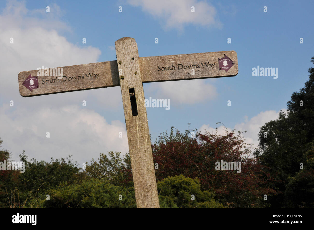 sign post, south downs way Stock Photo - Alamy