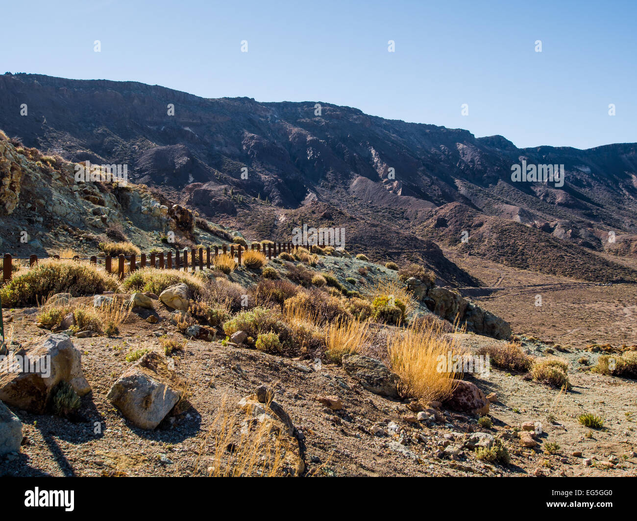 Desert landscape of Volcano Teide National Park Stock Photo - Alamy