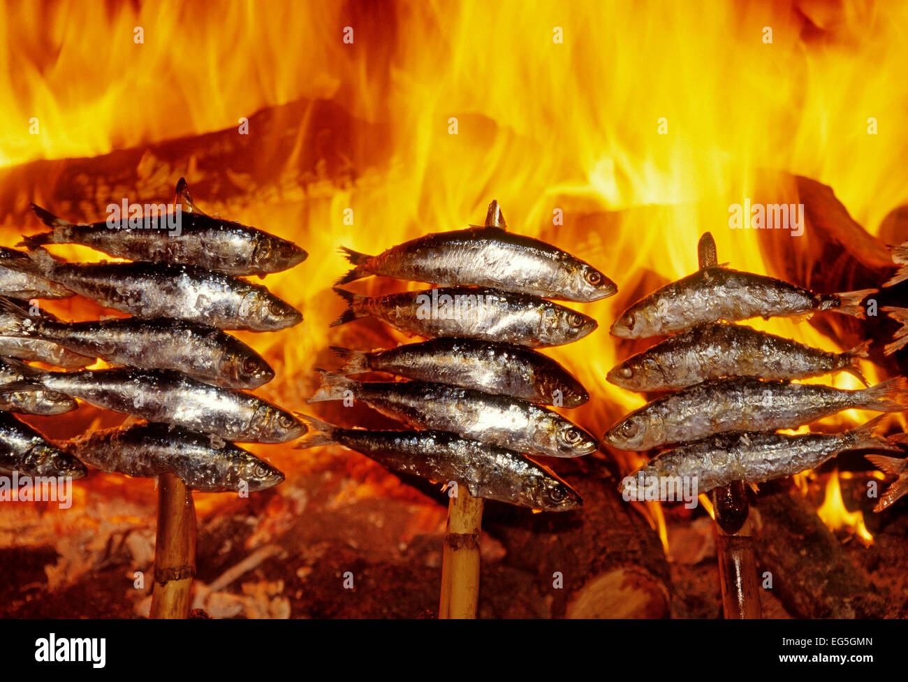 Espetos de sardinas grilled sardines Andalusian gastronomy Andalusia ...