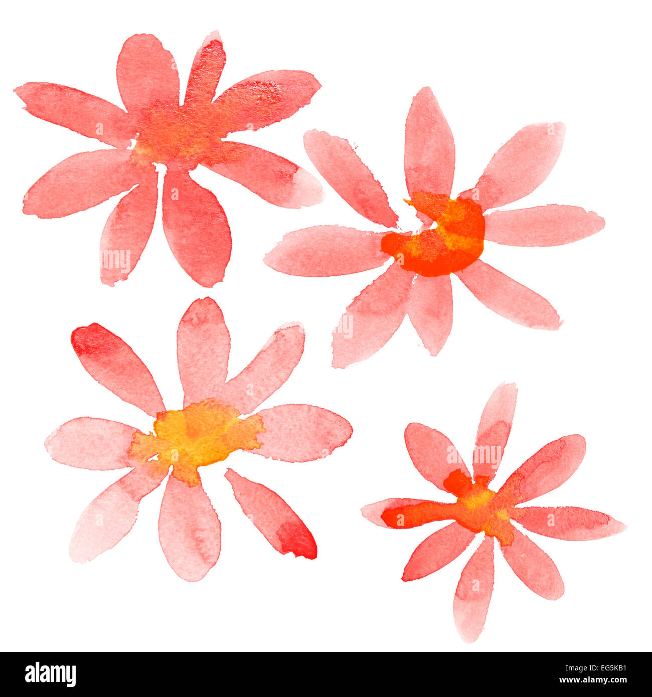 Red watercolor flowers isolated over the white background Stock Photo ...