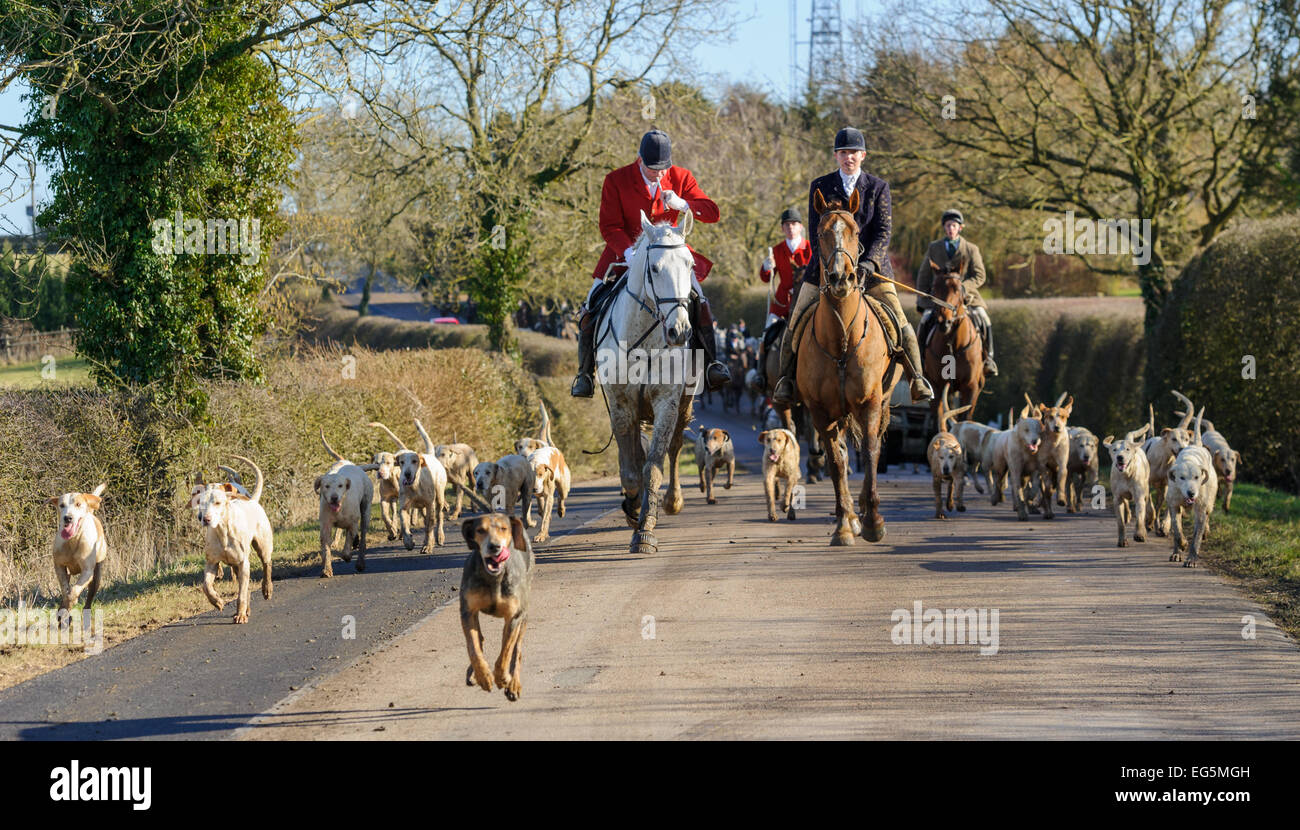Cottesmore hunt hi-res stock photography and images - Alamy