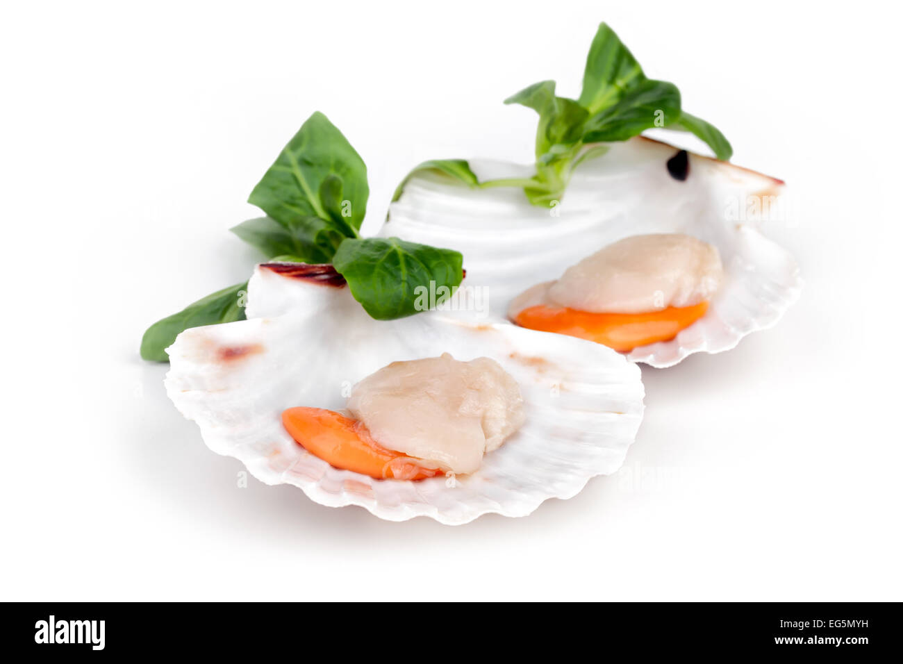 Scallop gourmet appetizer Cut Out Stock Images & Pictures - Alamy