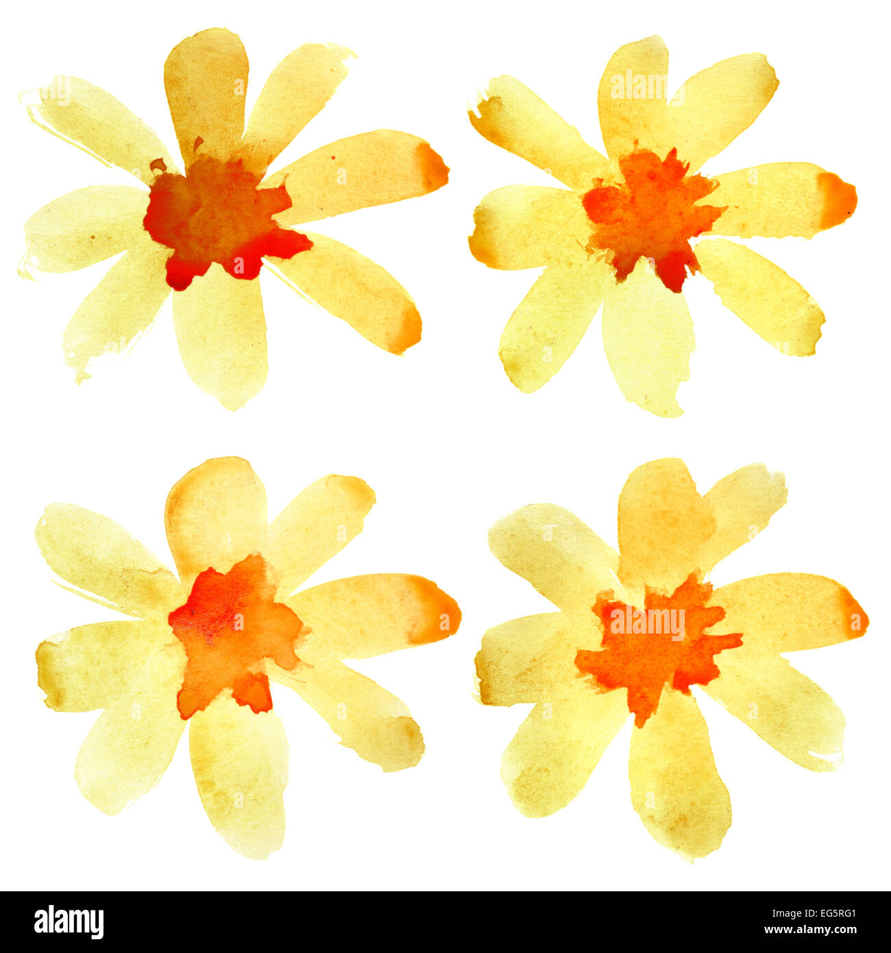 Yellow watercolor flowers hi-res stock photography and images - Alamy