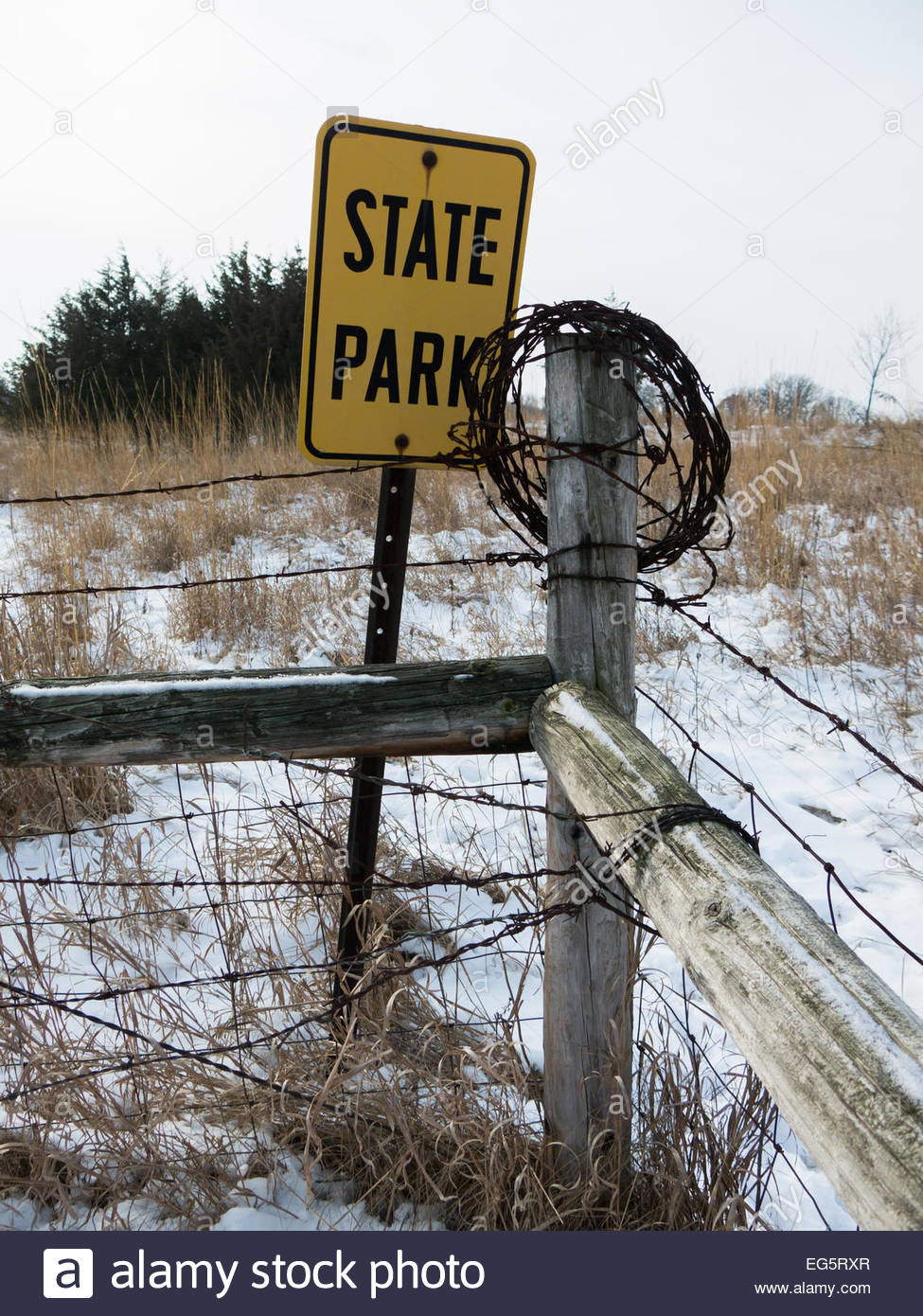 Barbed Wire And Tree Stock Photos & Barbed Wire And Tree Stock Images ...