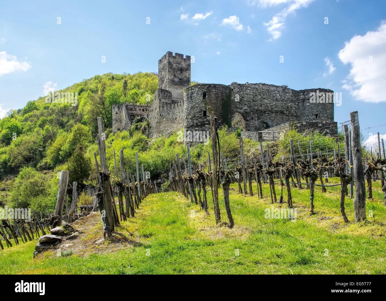 Spitz Ruine Hinterhaus - Spitz castle ruin Hinterhaus 05 Stock Photo ...