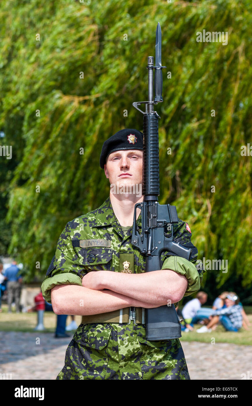 Soldier on honor guard hi-res stock photography and images - Alamy