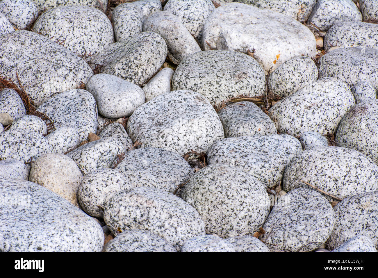 Grey pebble hi-res stock photography and images - Alamy