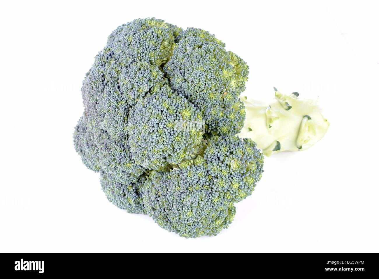 organic broccoli isolated on white Stock Photo - Alamy