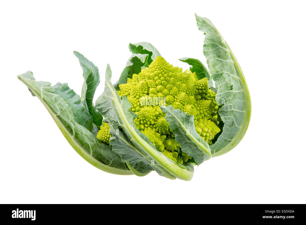 Closeup of a healthy romanesco broccoli vegetable Stock Photo - Alamy