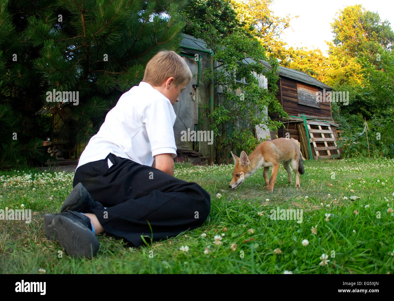 Fox boy hi-res stock photography and images - Alamy