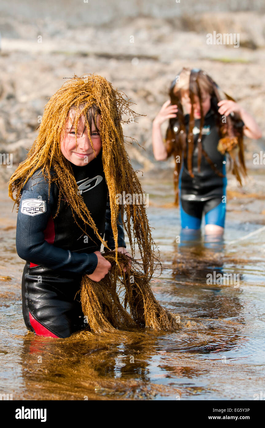Young boys playing, putting seaweed on their heads whilst rockpooling ...