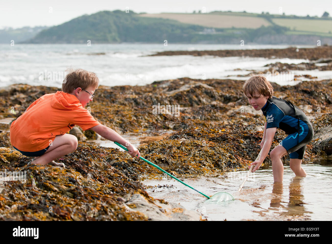 Rock pooling children hi-res stock photography and images - Alamy