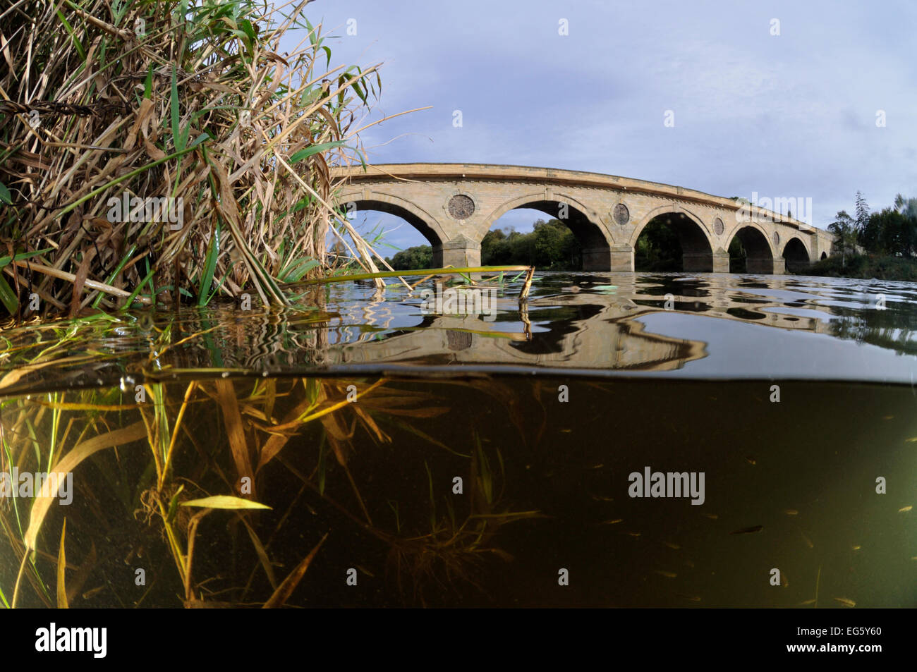 Split-level view of the River Tweed and Coldstream Bridge, Berwickshire ...