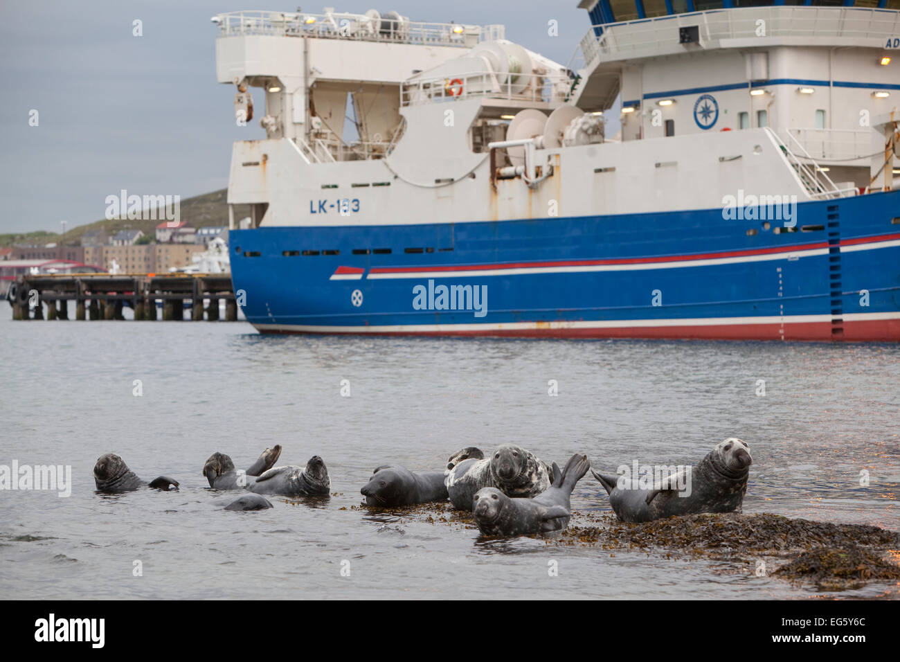 Haul out hi-res stock photography and images - Alamy