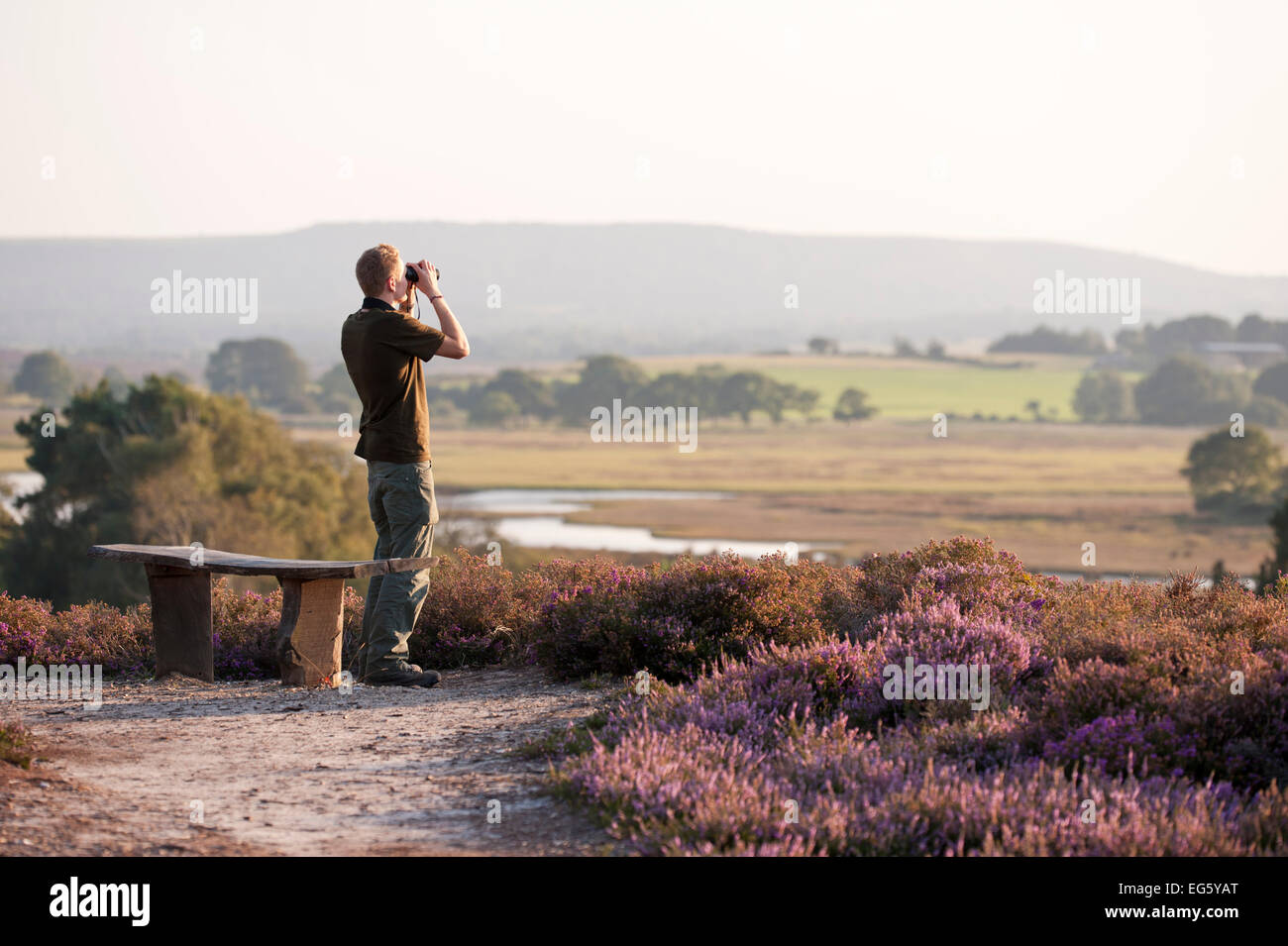 Birdwatcher standing by a bench scanning for a visiting Osprey, Arne ...