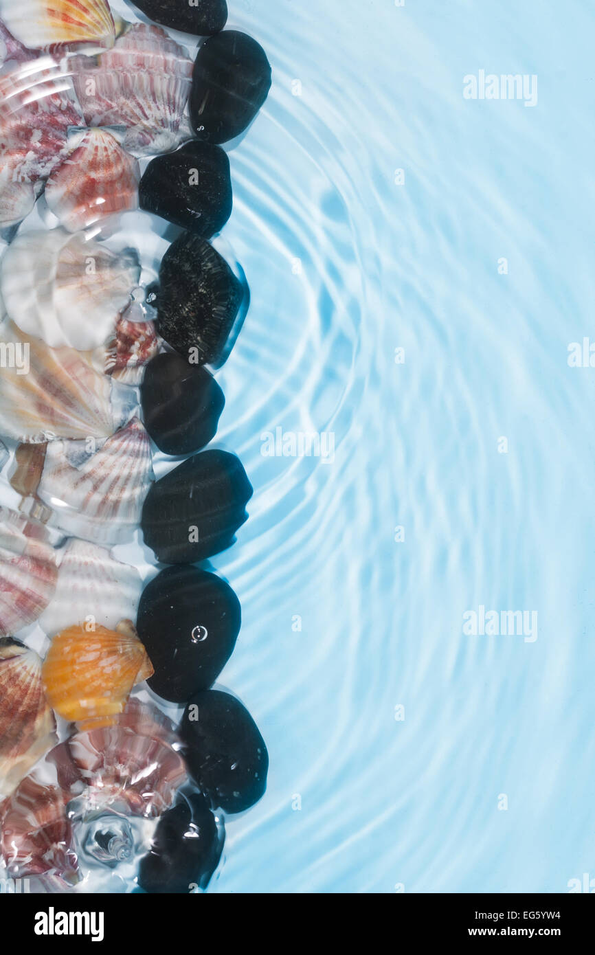 Line of sea shells and stones in the water , with space for your text ...