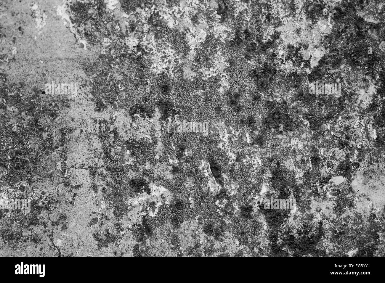 Grungy wall texture with paint and scuffed breakaway shot close-up ...