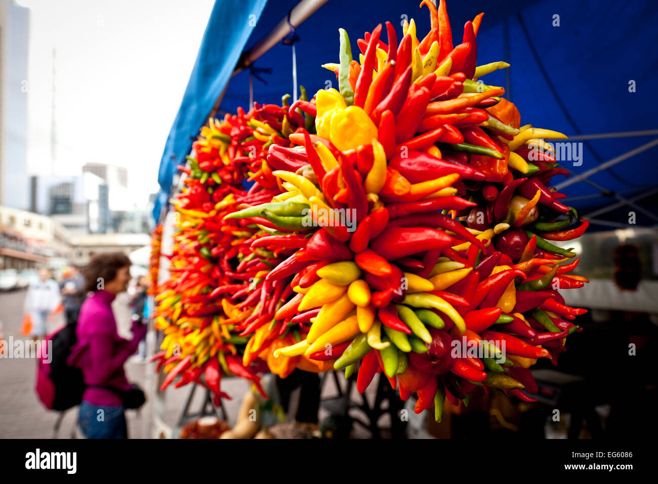 Colorful image of bunches of chili peppers hanging on a stall front in ...