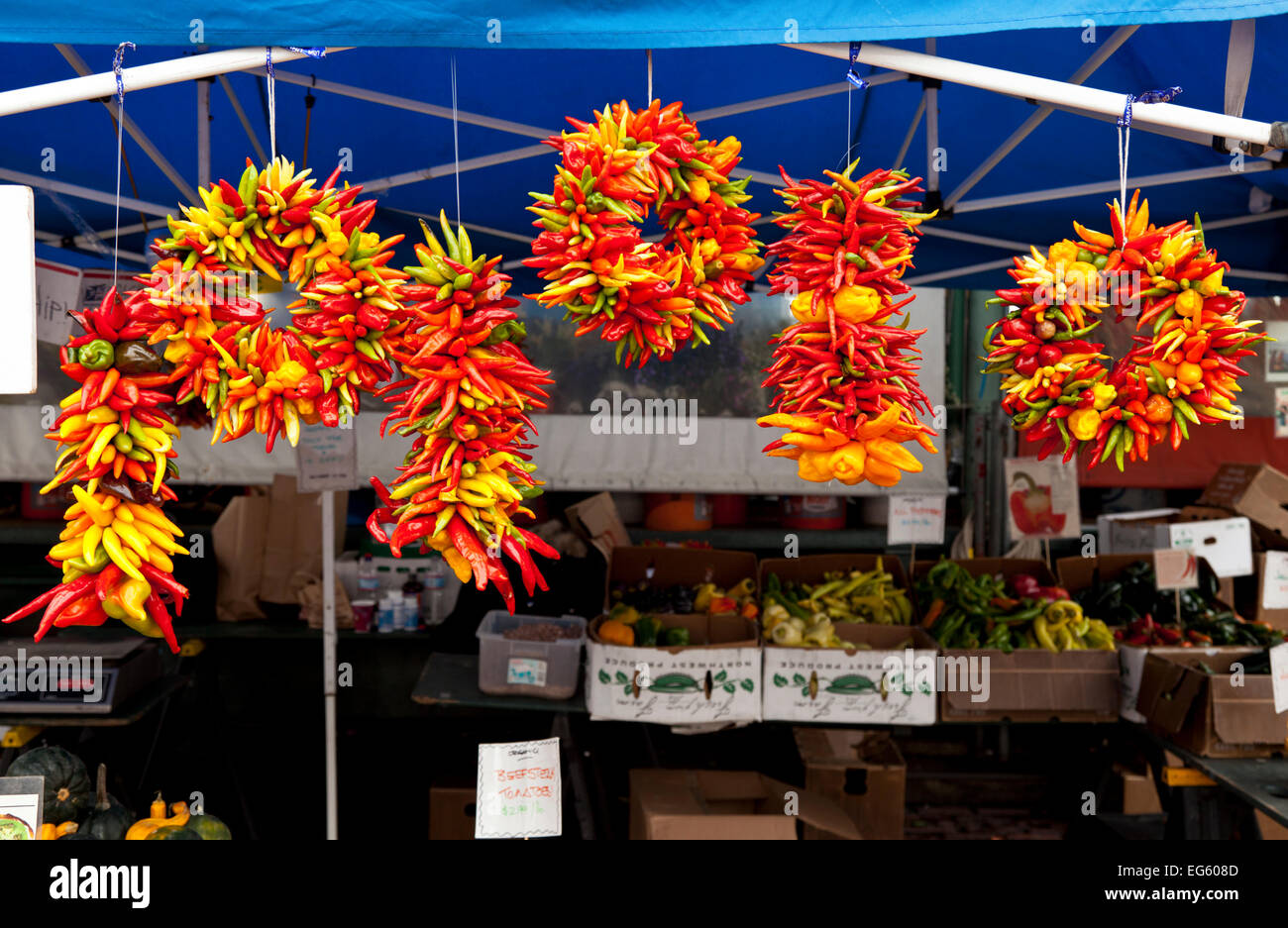 Red jalapenos hi-res stock photography and images - Alamy