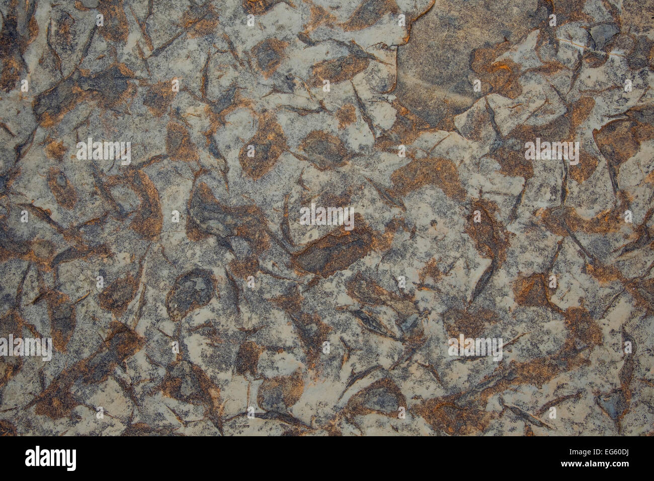 Patterns within Caithness stone, Flow country, Forsinard, Caithness ...