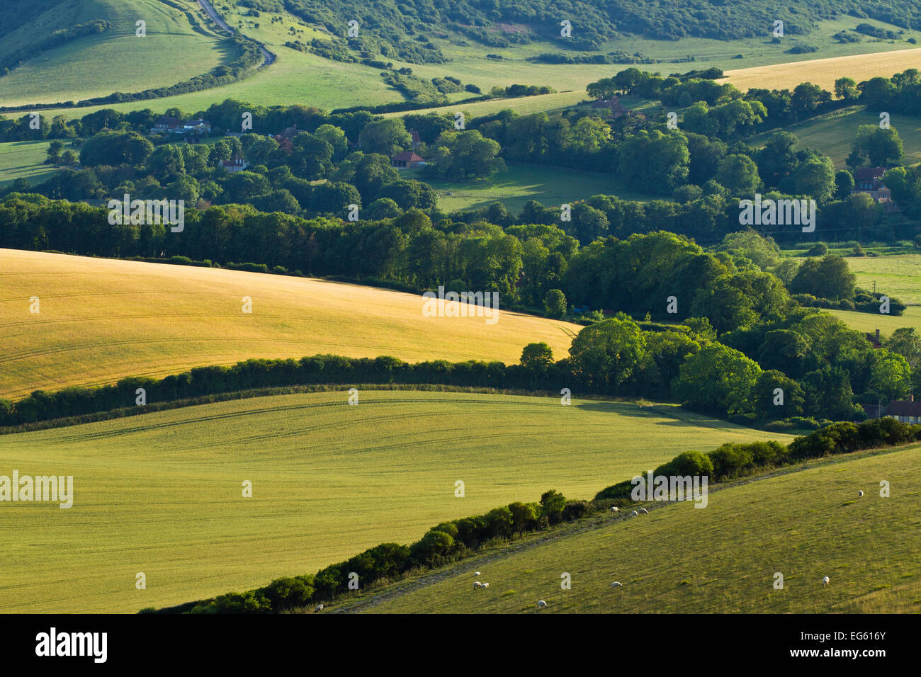 View of downland and arable farmland from Wilmington Hill, Wilmington ...