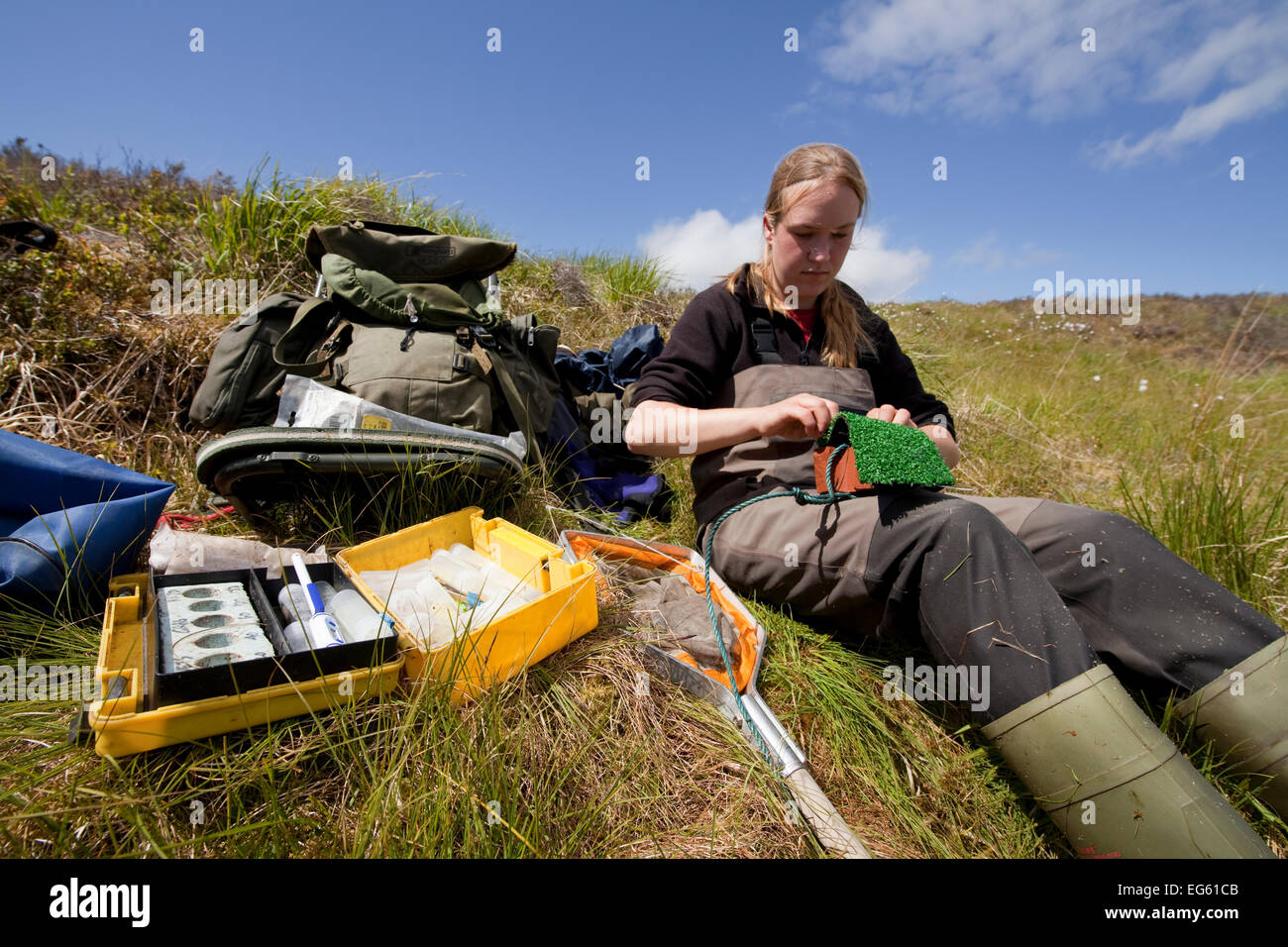 RSPB scientist studying aquatic invertebrate adundance as part of ...